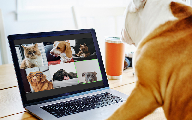 10 Tips for Transitioning to a Fully Remote Work Enabled Team - My ...