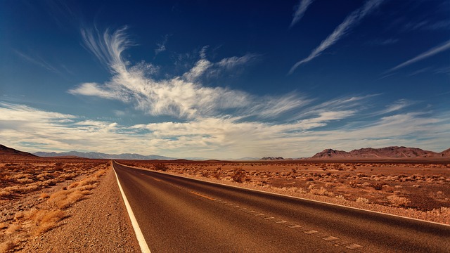 The Silk Roads | Key Ideas | Deepstash