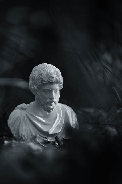 12 Stoic Lessons We Need to Learn | Deepstash