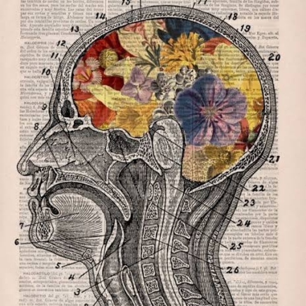 7 Life Lessons from Sherlock | Key Ideas | Deepstash